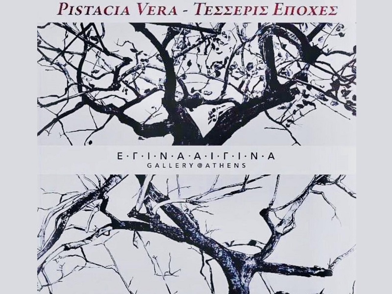 Με Pistacia Vera τα εγκαίνια της γκαλερί ΕΓΙΝΑ ΑΙΓΙΝΑ στη Αθήνα ...